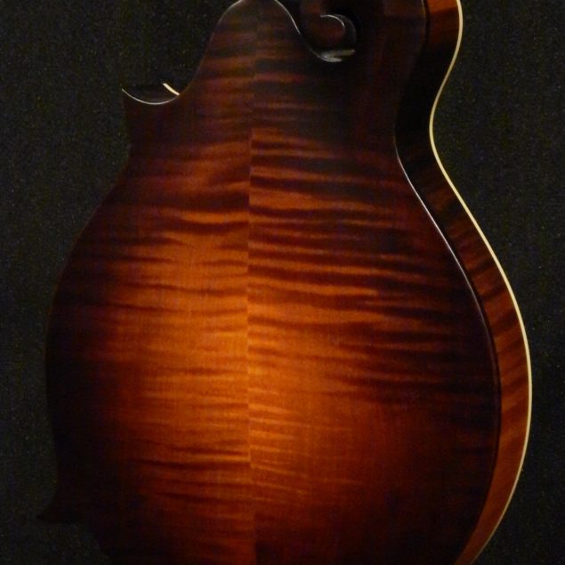 Collings MF Gloss Top Mandolin with Ivoroid Binding | Down Home Guitars
