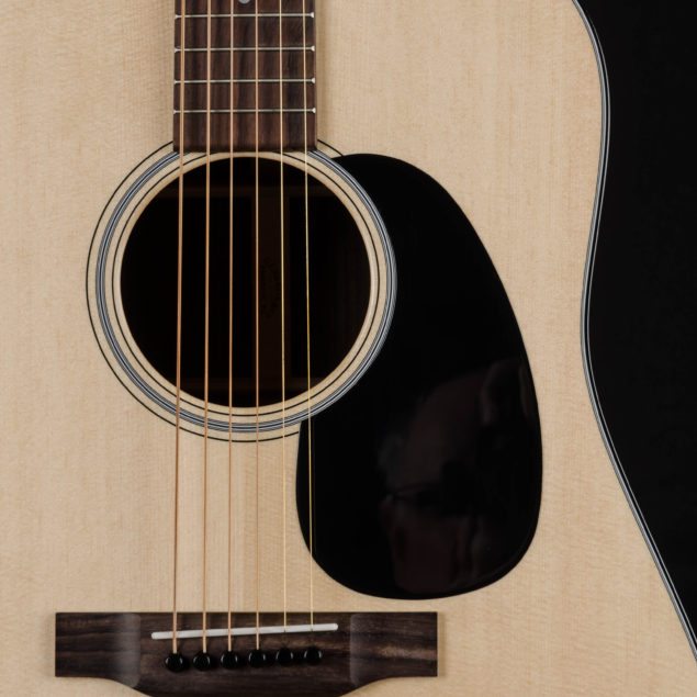 Martin D-21 Special Limited Edition Dreadnought | Down Home Guitars