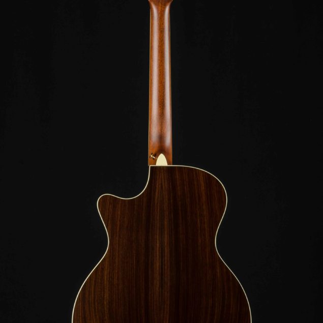 Martin GPC Custom Indian Rosewood and Sitka Spruce Full Gloss with ...