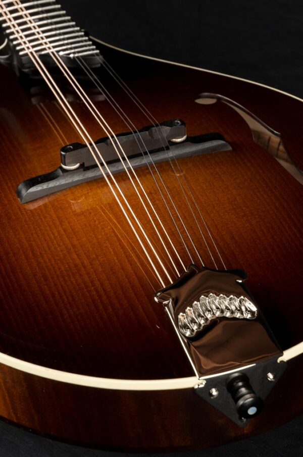 Collings MT Torrefied Sitka Spruce Gloss Top and Flamed Maple with ...