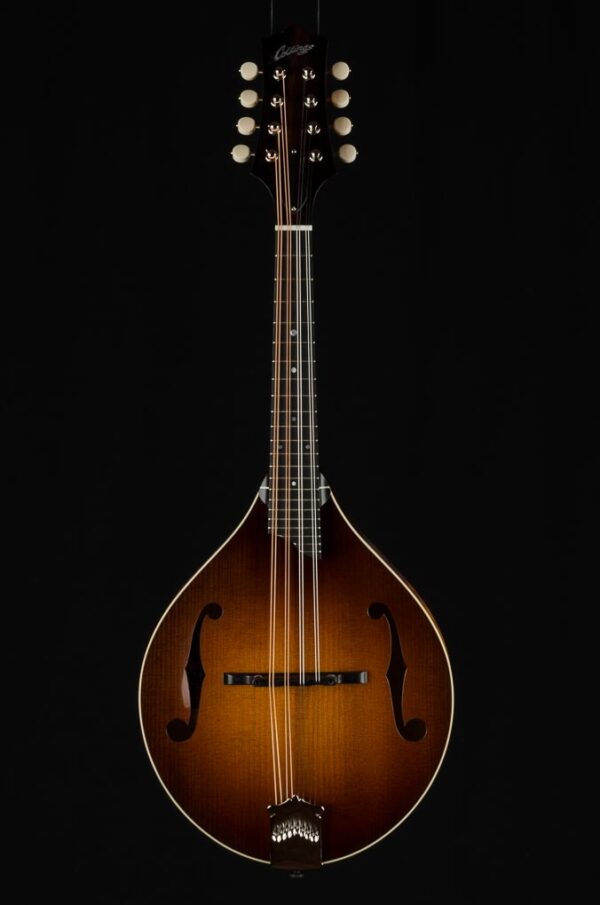 Collings MT Torrefied Sitka Spruce Gloss Top and Flamed Maple with ...