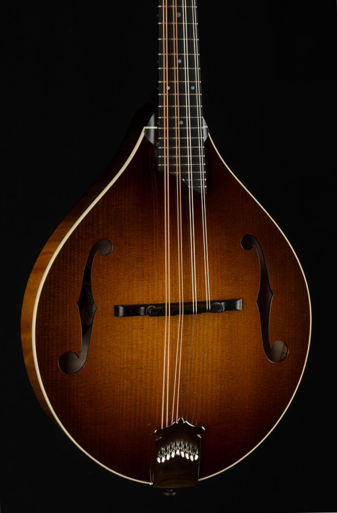 Collings MT Torrefied Sitka Spruce Gloss Top and Flamed Maple with ...