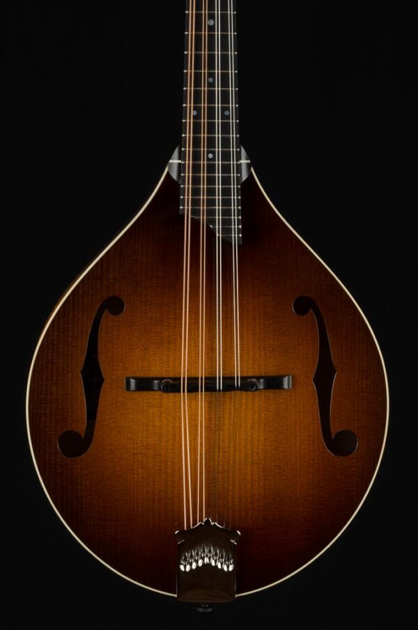 Collings MT Torrefied Sitka Spruce Gloss Top and Flamed Maple with ...