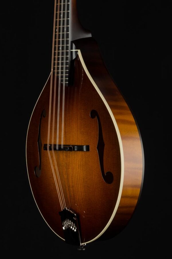 Collings MT Torrefied Sitka Spruce Gloss Top and Flamed Maple with ...