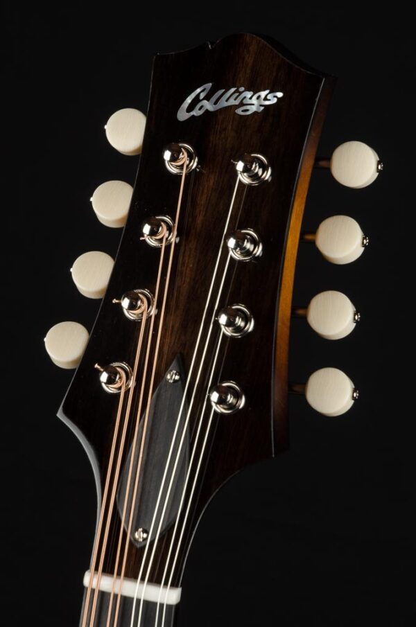 Collings MT Torrefied Sitka Spruce Gloss Top and Flamed Maple with ...