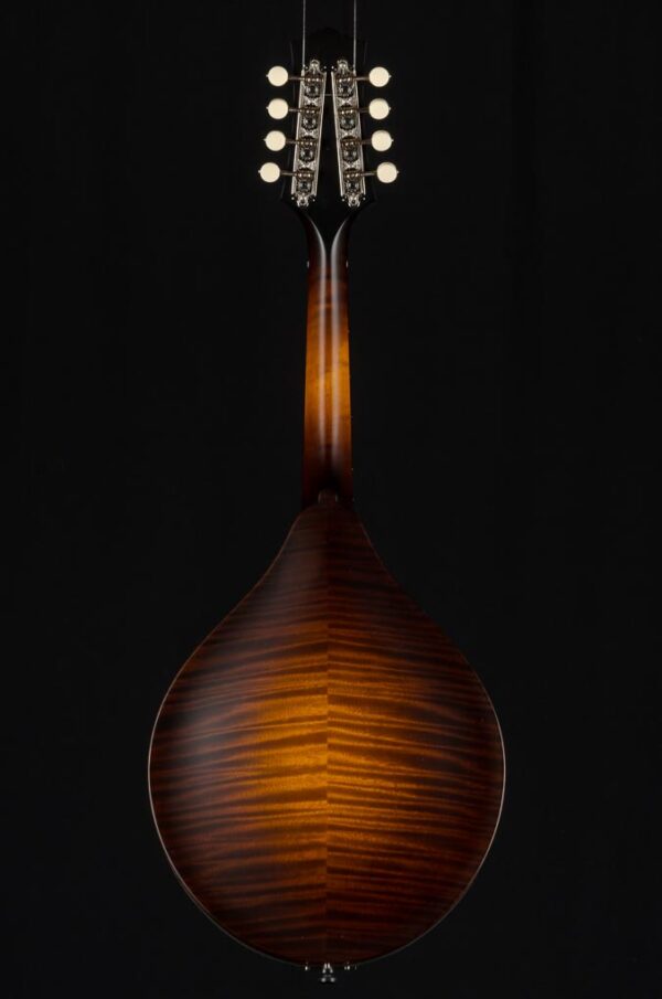 Collings MT Torrefied Sitka Spruce Gloss Top and Flamed Maple with ...