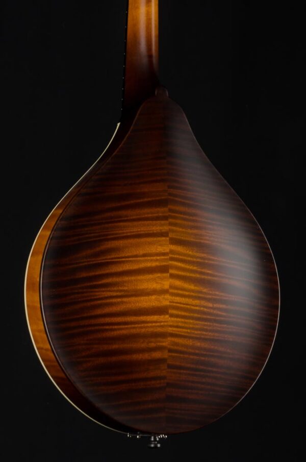 Collings MT Torrefied Sitka Spruce Gloss Top and Flamed Maple with ...