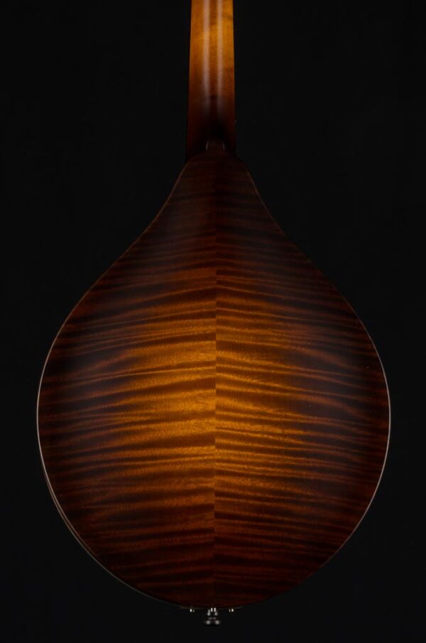 Collings MT Torrefied Sitka Spruce Gloss Top and Flamed Maple with ...