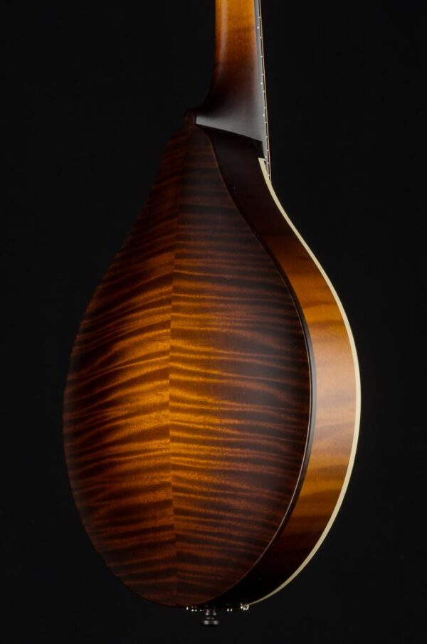 Collings MT Torrefied Sitka Spruce Gloss Top and Flamed Maple with ...