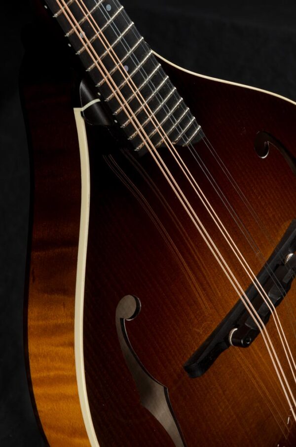 Collings MT Torrefied Sitka Spruce Gloss Top and Flamed Maple with ...