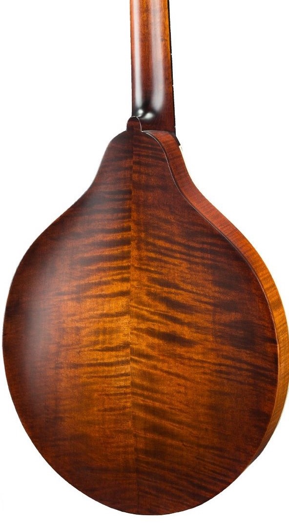 Eastman MDO305 Octave Mandolin | Down Home Guitars