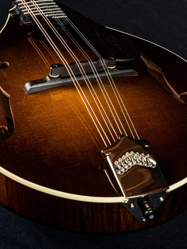Collings MT Gloss Top Sunburst Mandolin With Ivoroid Bindings and ...