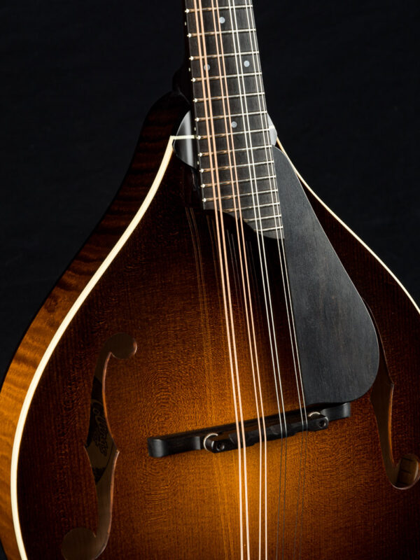 Collings MT Gloss Top Sunburst Mandolin With Ivoroid Bindings and ...