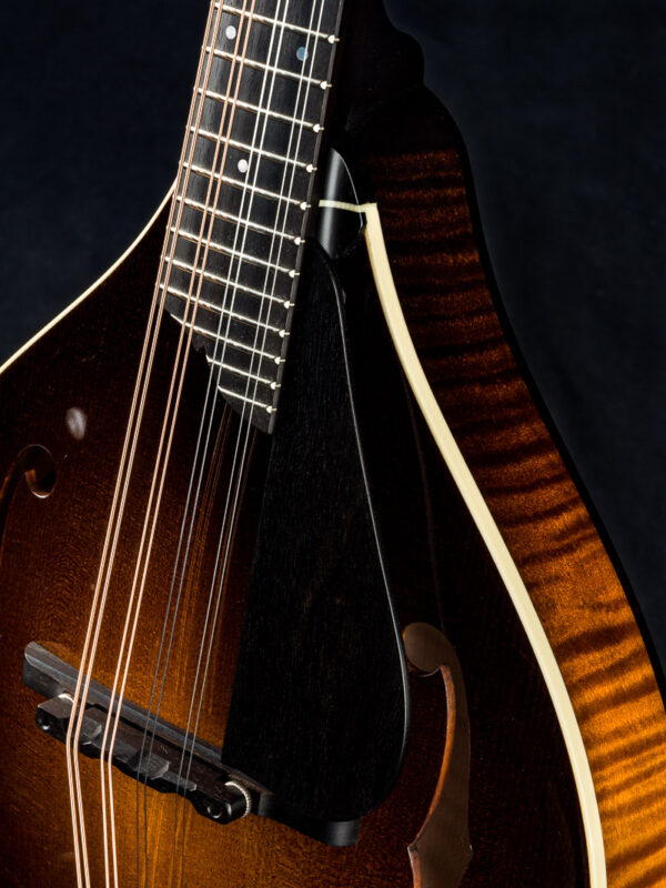 Collings MT Gloss Top Sunburst Mandolin With Ivoroid Bindings and ...