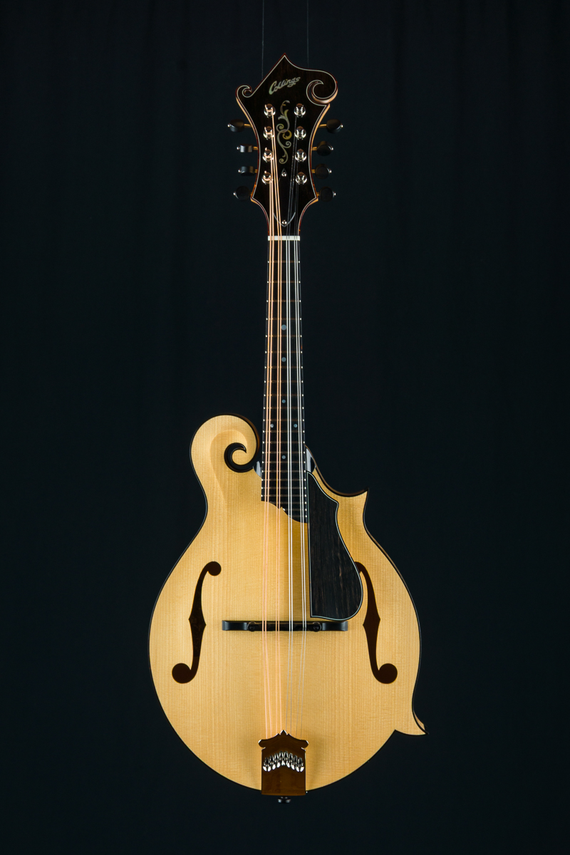 Collings MF5 Blonde Full Gloss Mandolin with Pickguard | Down Home Guitars