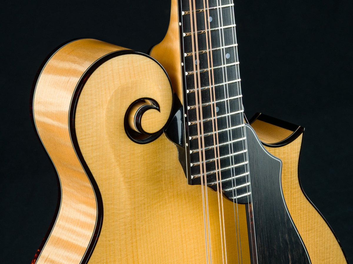 Collings MF5 Blonde Full Gloss Mandolin with Pickguard | Down Home Guitars