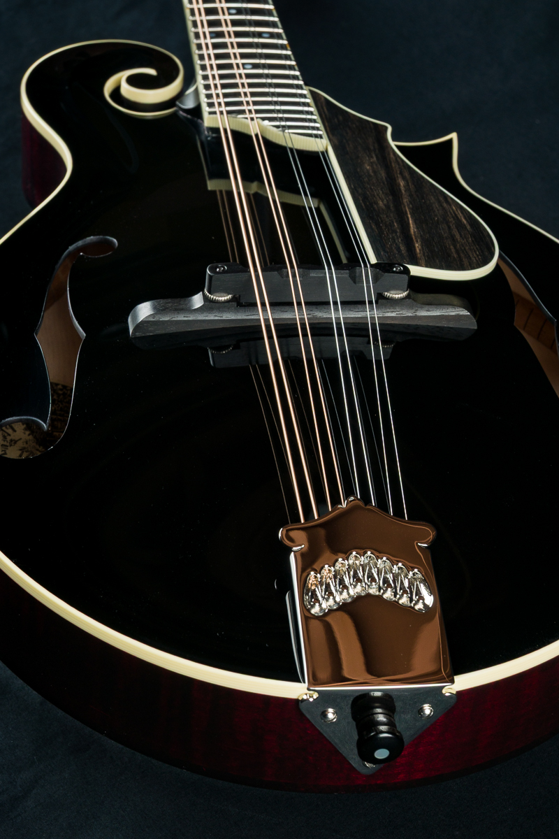 Collings MF Deluxe Black Top Adirondack Spruce and Flamed Maple ...