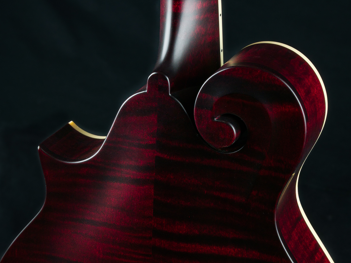 Collings MF Deluxe Black Top Adirondack Spruce and Flamed Maple ...
