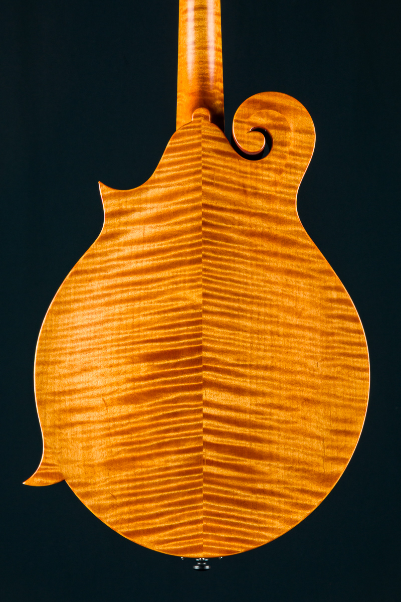 Collings MF-O Gloss Top Honey Amber Adirondack Spruce and Flamed Maple ...